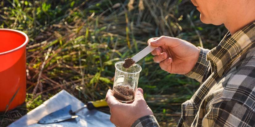 Nitrogen in Soil: Importance, Deficiency Signs and Natural Sources