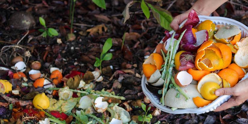 Mastering Compost: The 4 Key Stages Explained