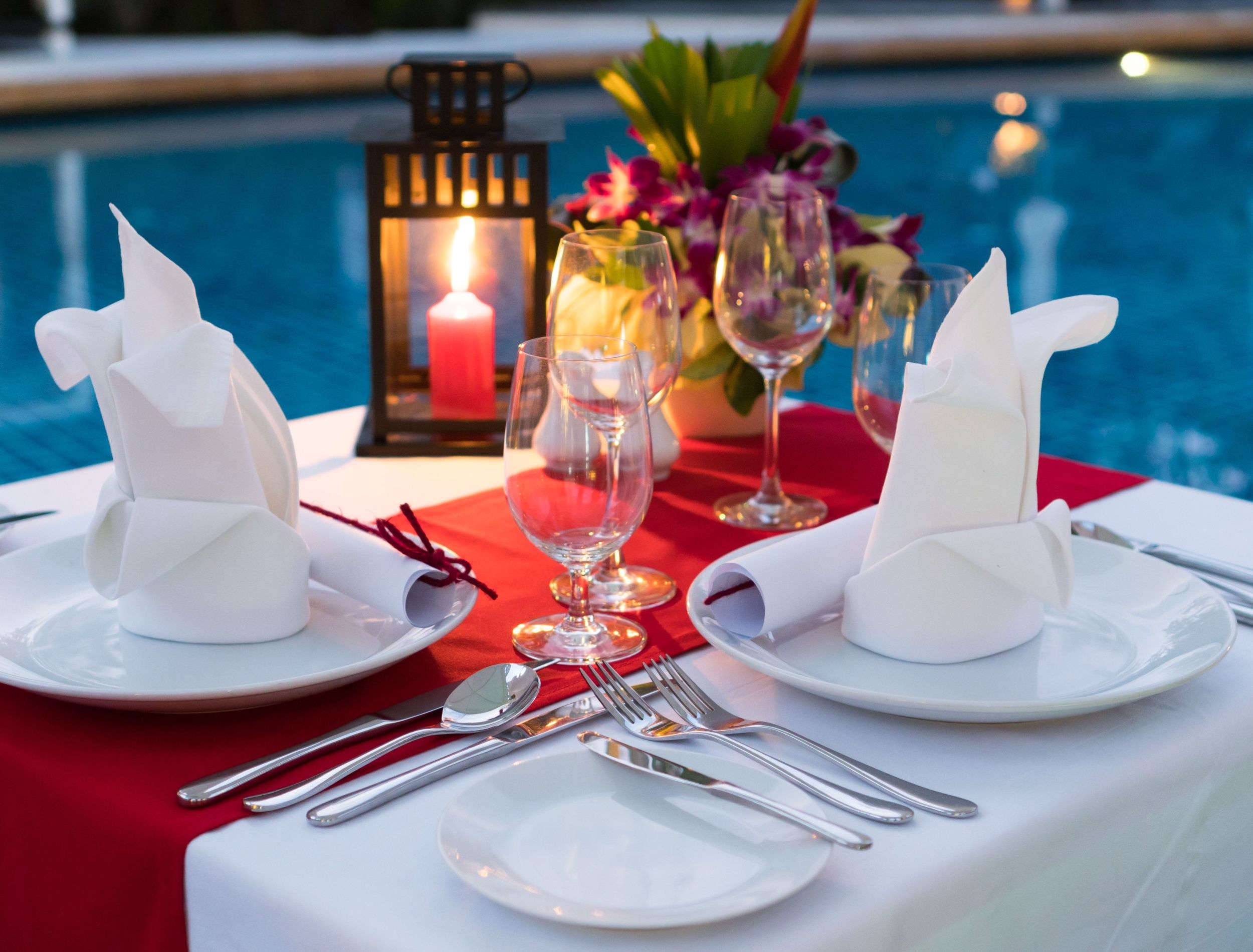 Burpee Seeds: Everything You Should You Know