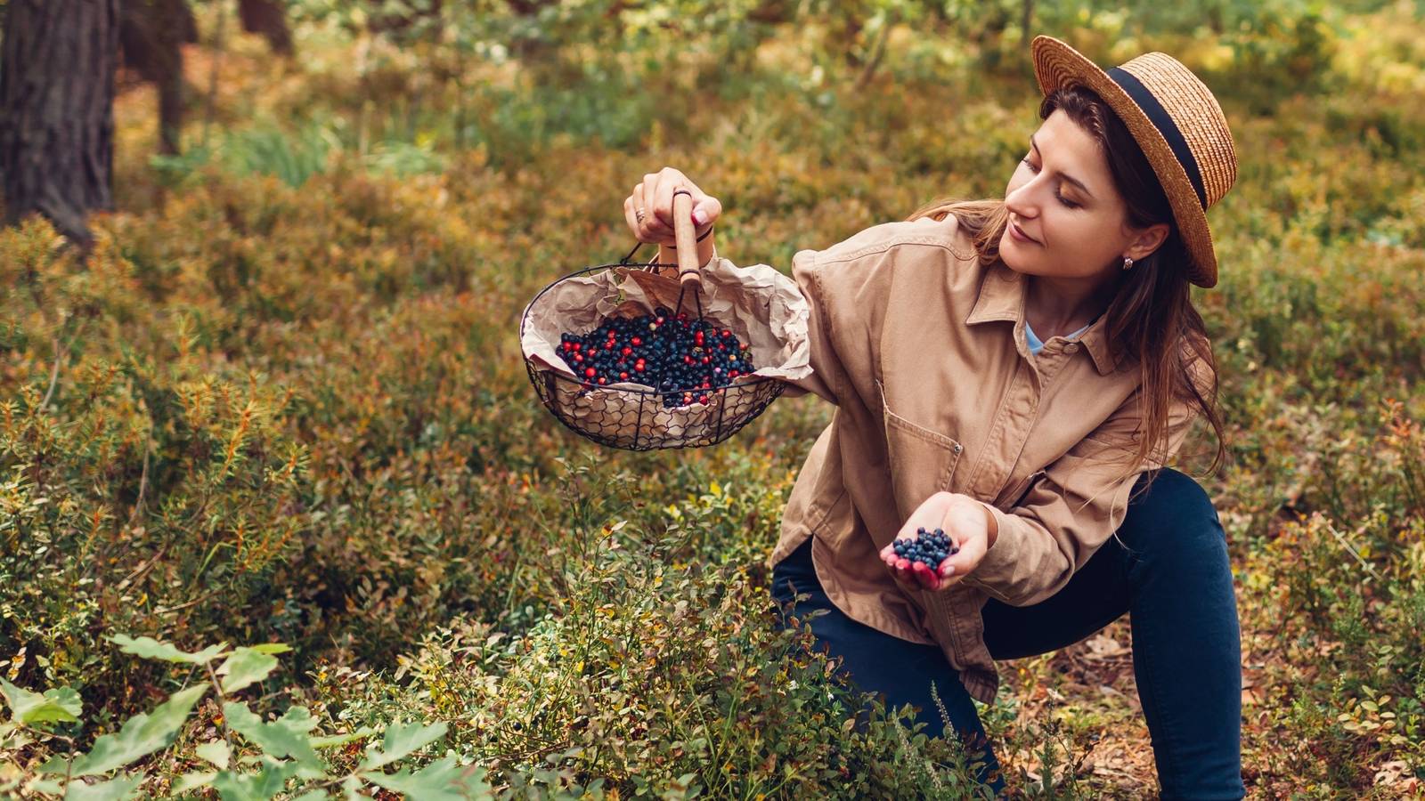 How to Go on a Foraging Walk in Your City and Find Fresh Food