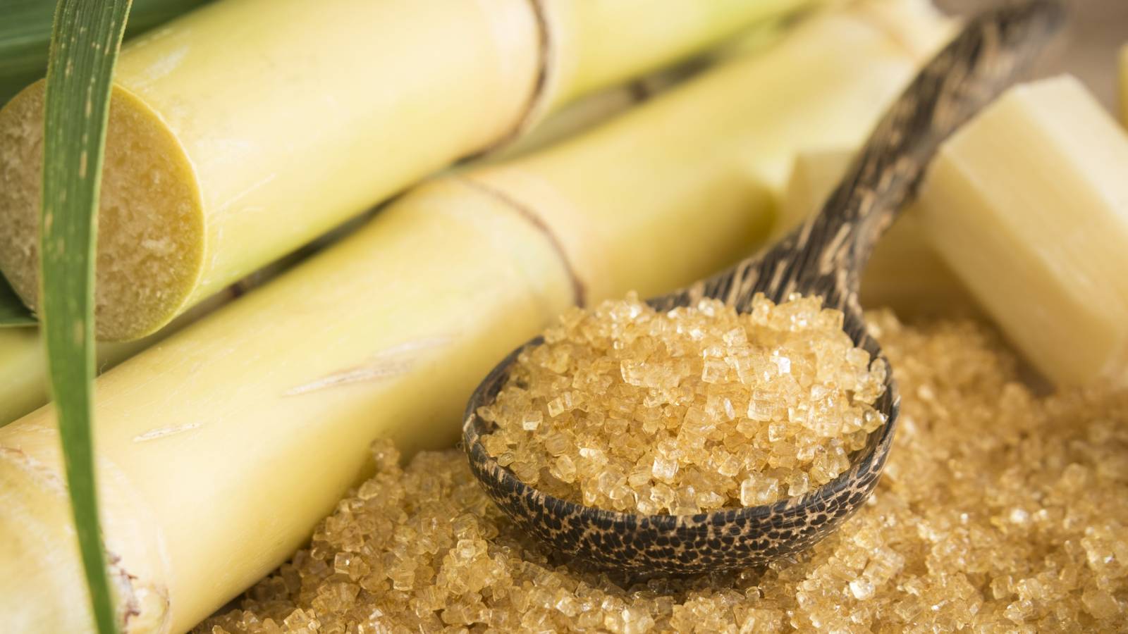 How Sugar Is Made from Sugar Cane: From Field to Crystal
