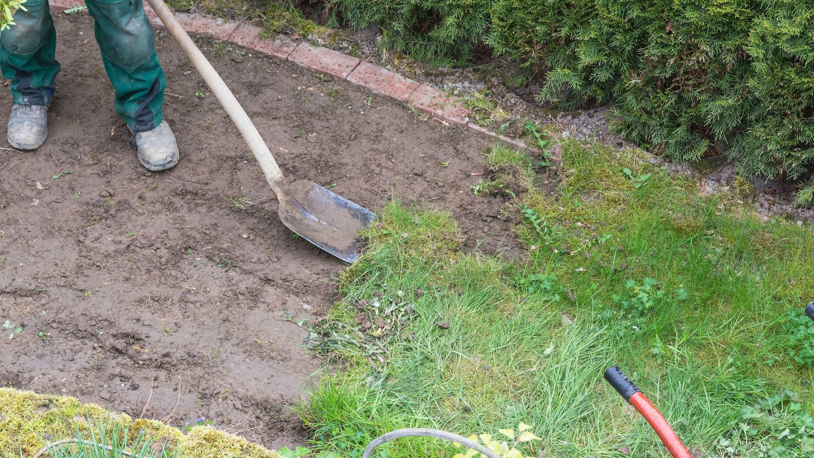 Get Rid of Grass Naturally and Reclaim Your Backyard
