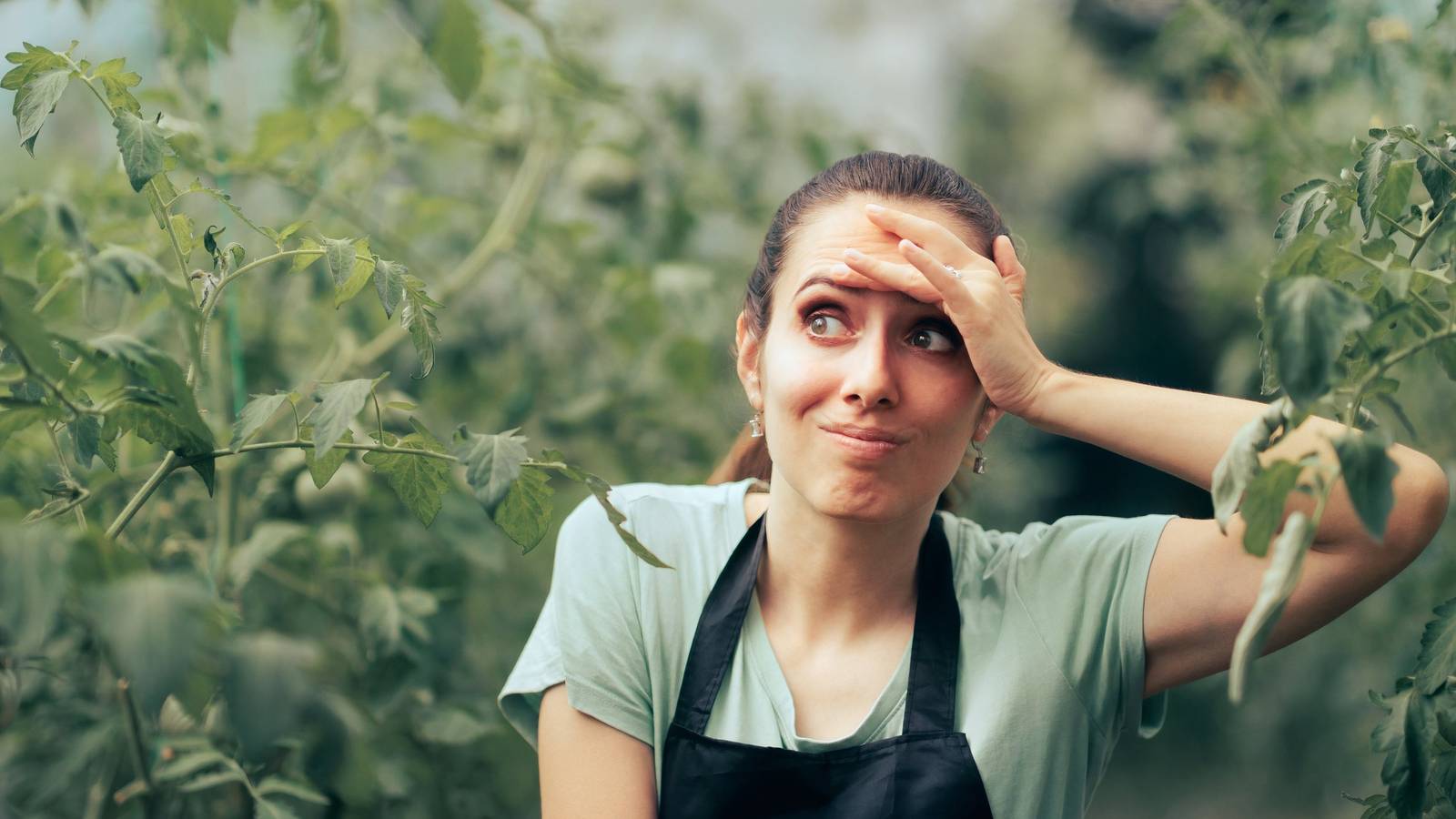 The Hidden Dangers of Fast Growing Plants in Your Garden