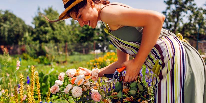 What Your Flower Choices Reveal About Your Personality