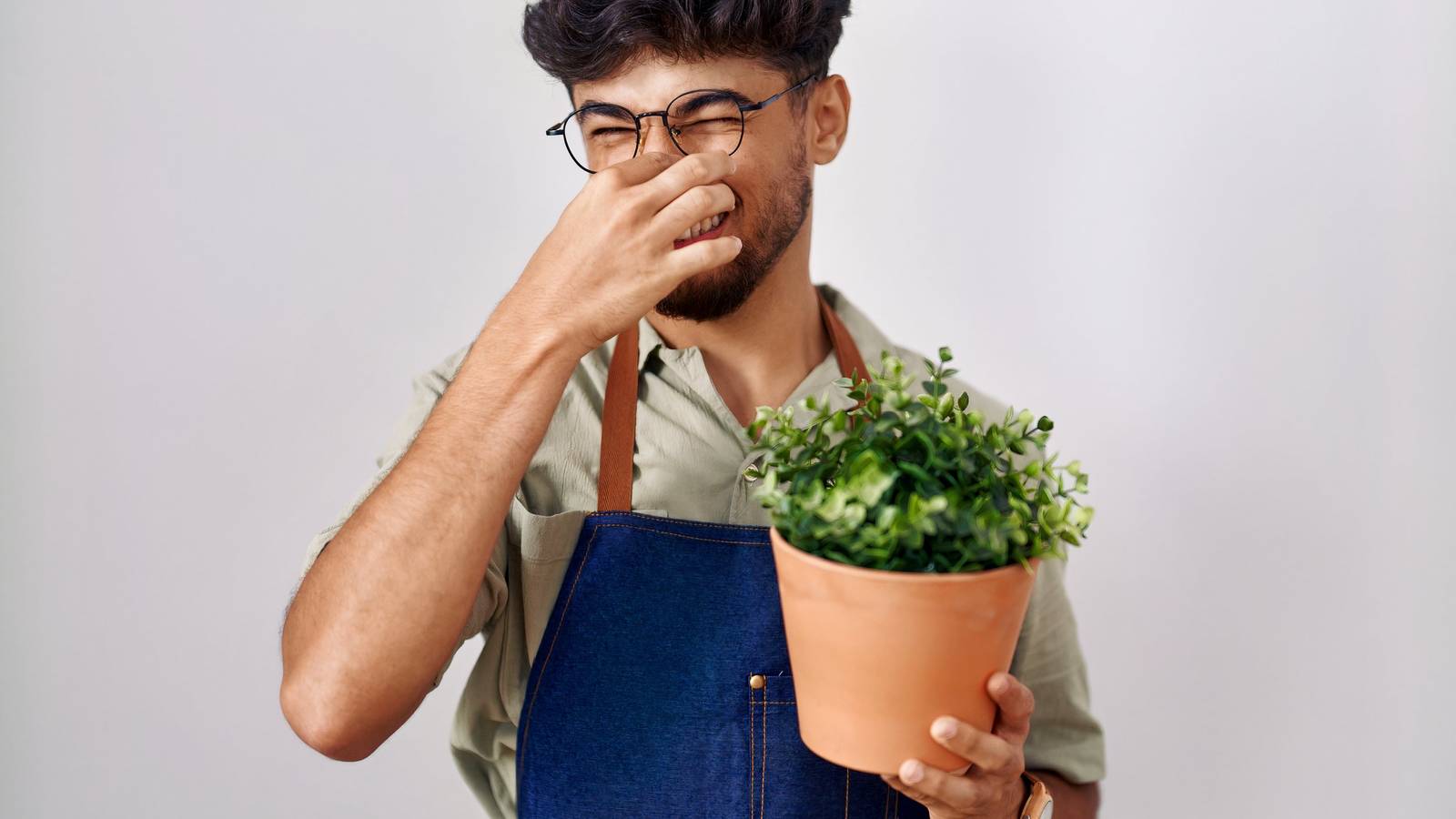 Why Your Houseplant Smells Bad and How to Fix It
