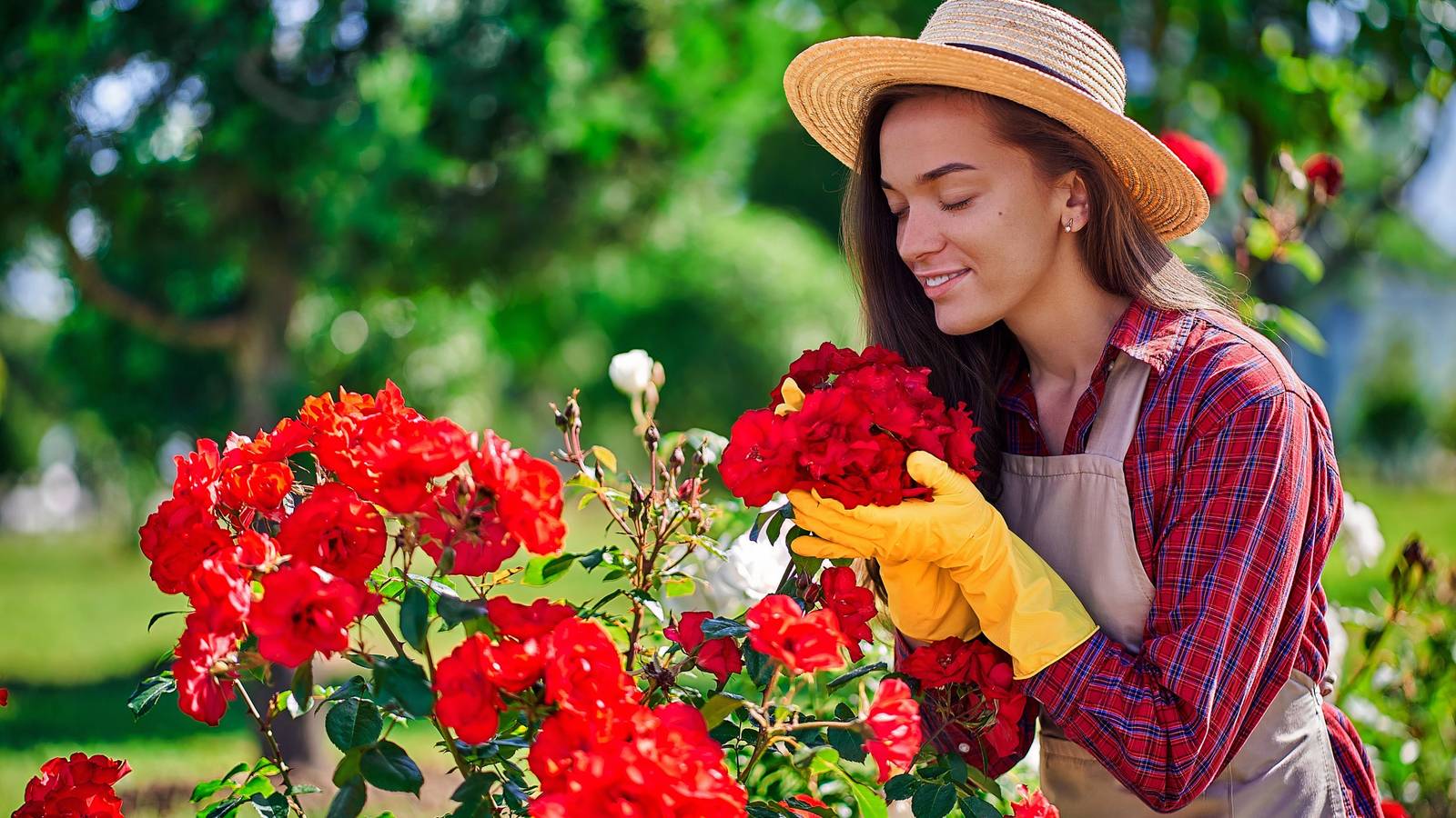 What Your Flower Choices Reveal About Your Personality