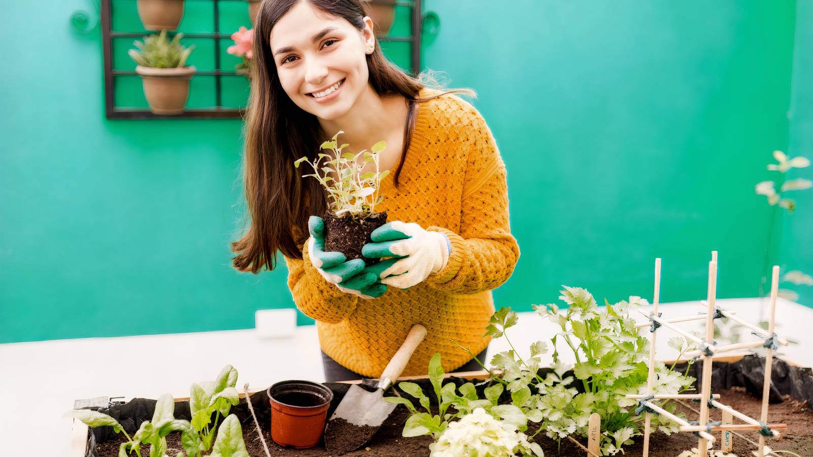 Beginner Gardening 101: Tips and Tricks for Starting Your Garden