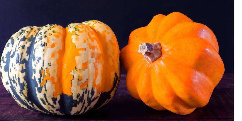7 Squash Varieties for Next-Level Pumpkin Pie | Thanksgiving Desserts