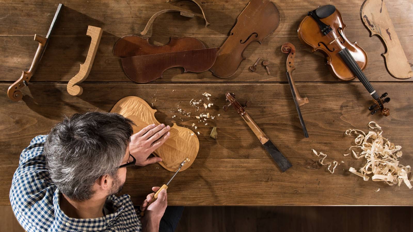 Rare Trees: The Soul of Musical Instruments