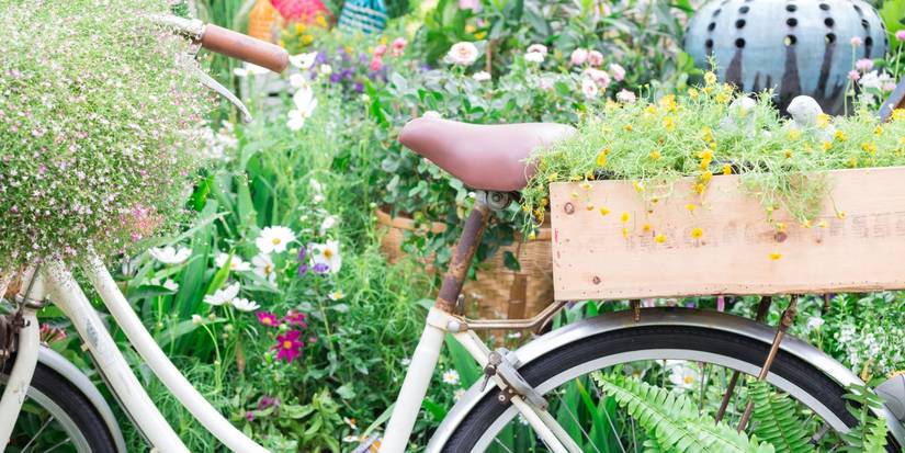 Creative Ways to Use an Old Bicycle in Your Garden Design