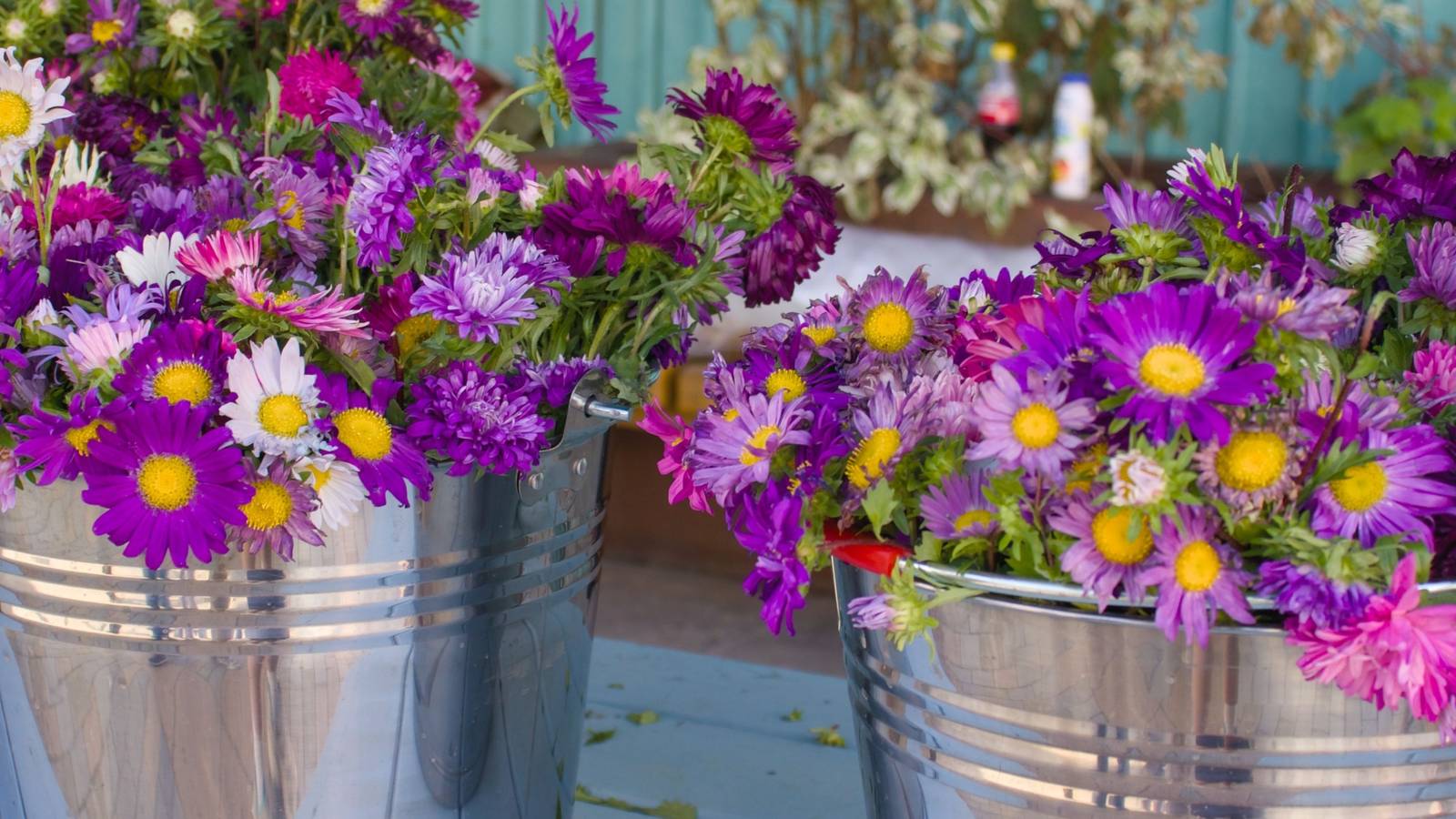 Design a Timeless Bouquet: Seasonal Flowers and Plants in New England