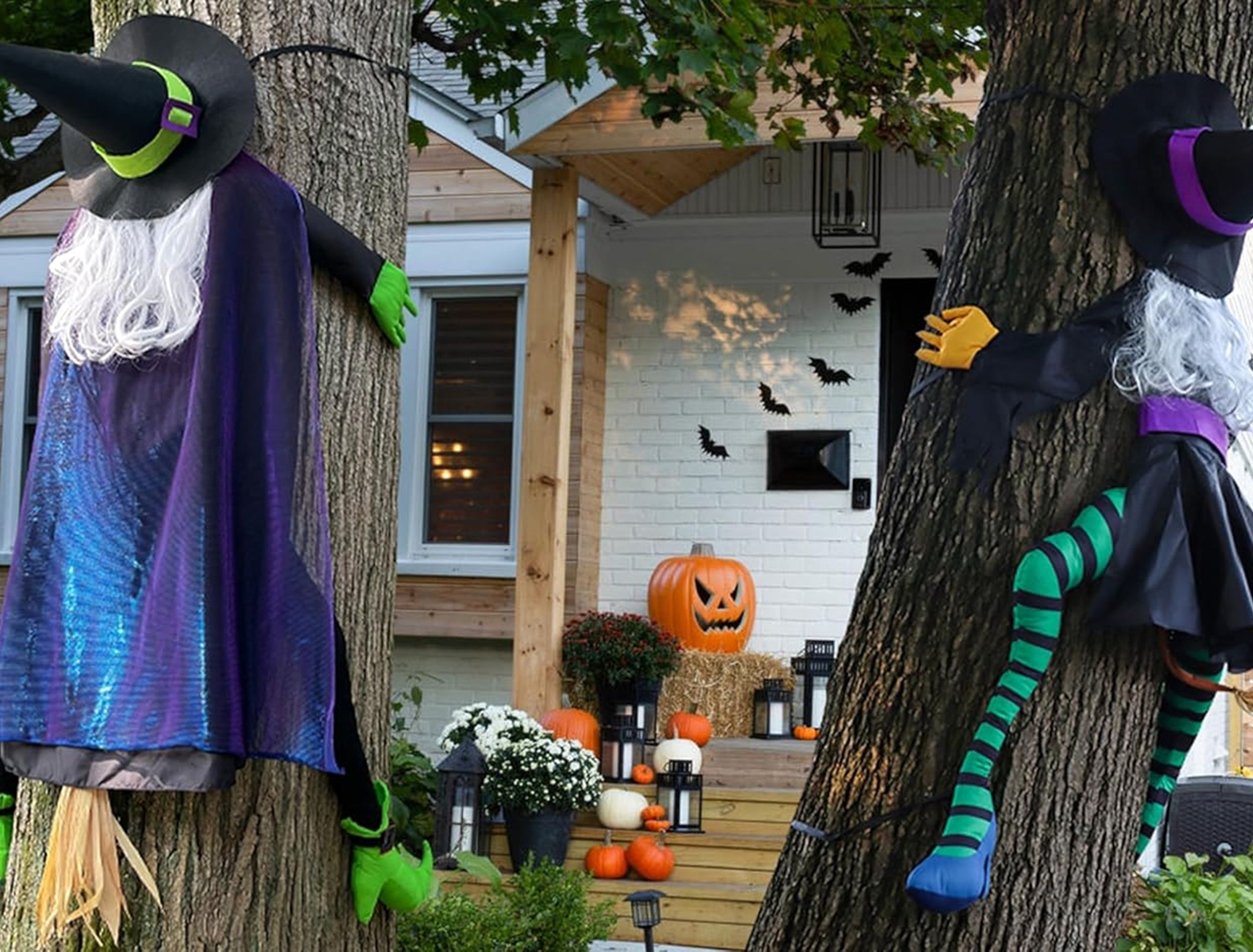 The Best Spooky Vines to Haunt Your Garden This Halloween