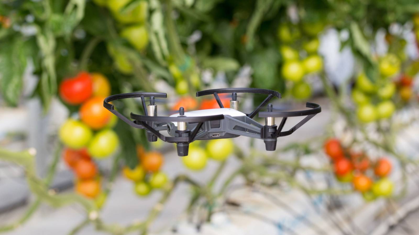 Bat-Inspired Drones: The Future of Eco-Friendly Pest Control
