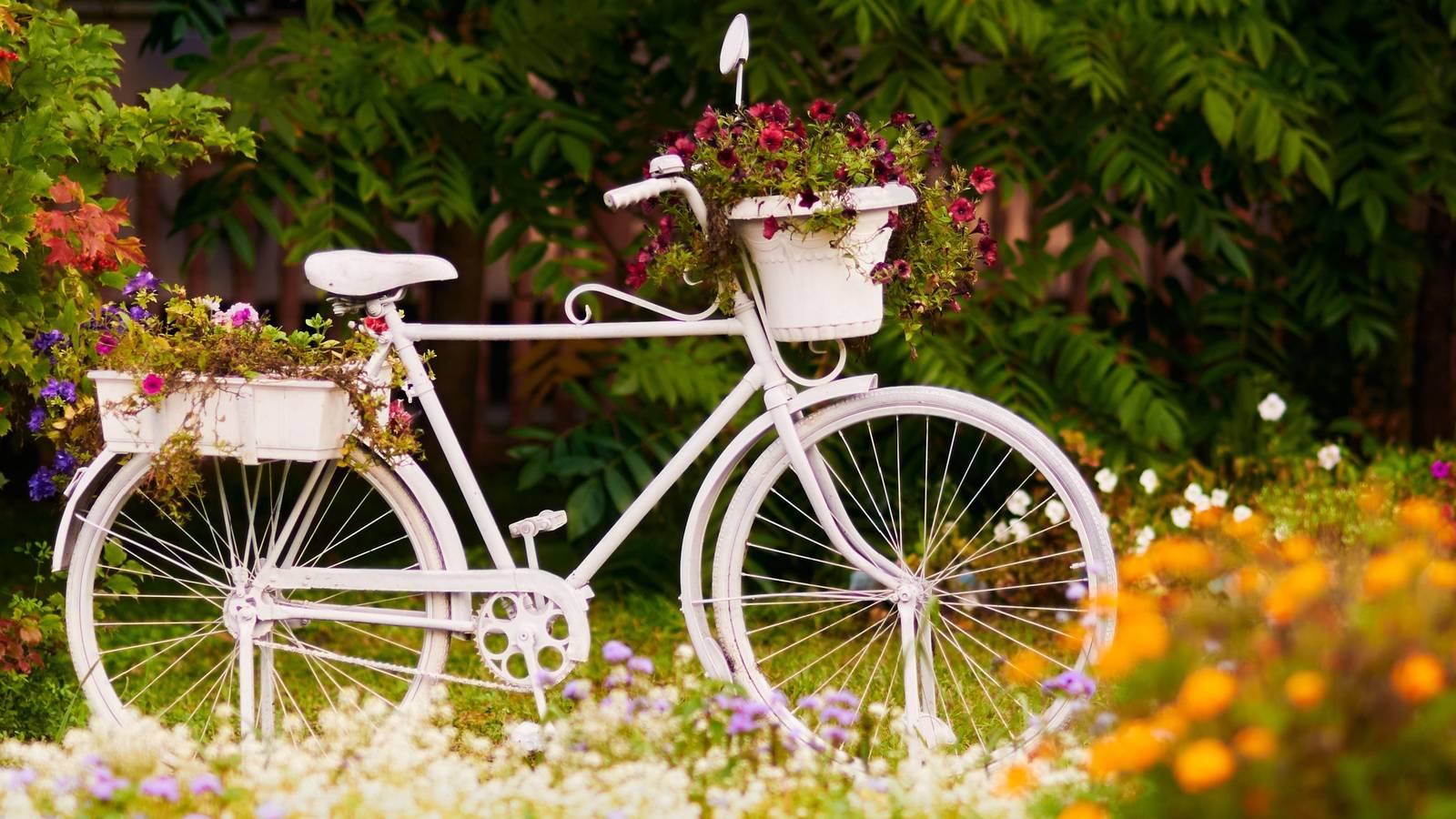 Creative Ways to Use an Old Bicycle in Your Garden Design