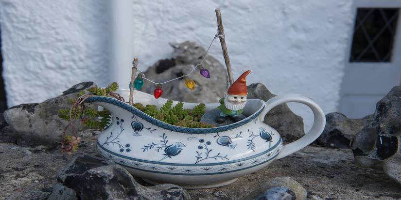 How Gnomes Can Transform Your Indoor Garden
