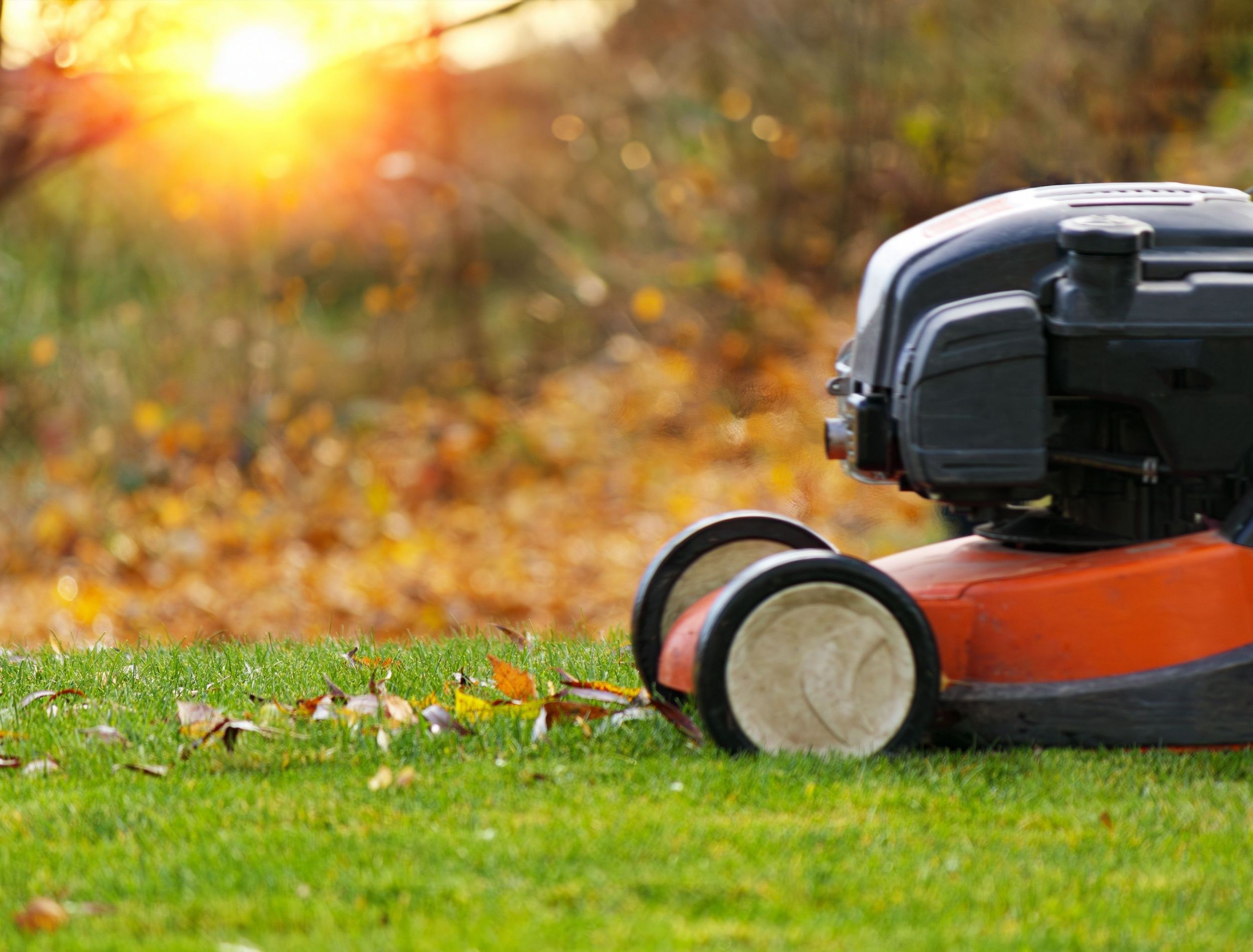 Do You Have Silt Soil in Your Garden?