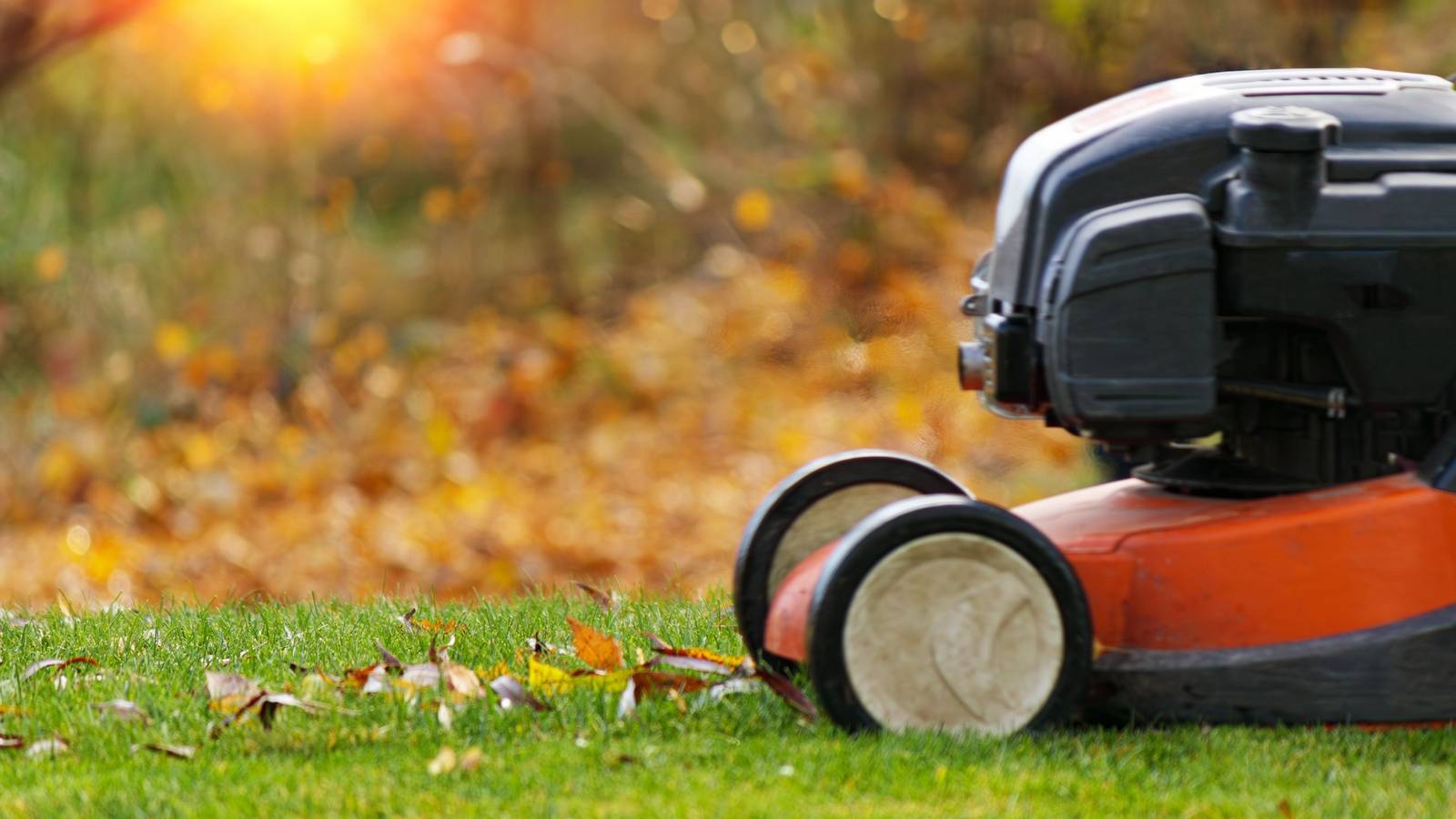 Why Fall Mowing Matters: Keep Cutting for a Stronger Spring Lawn