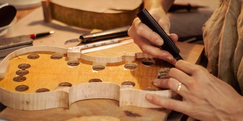 Rare Trees: The Soul of Musical Instruments