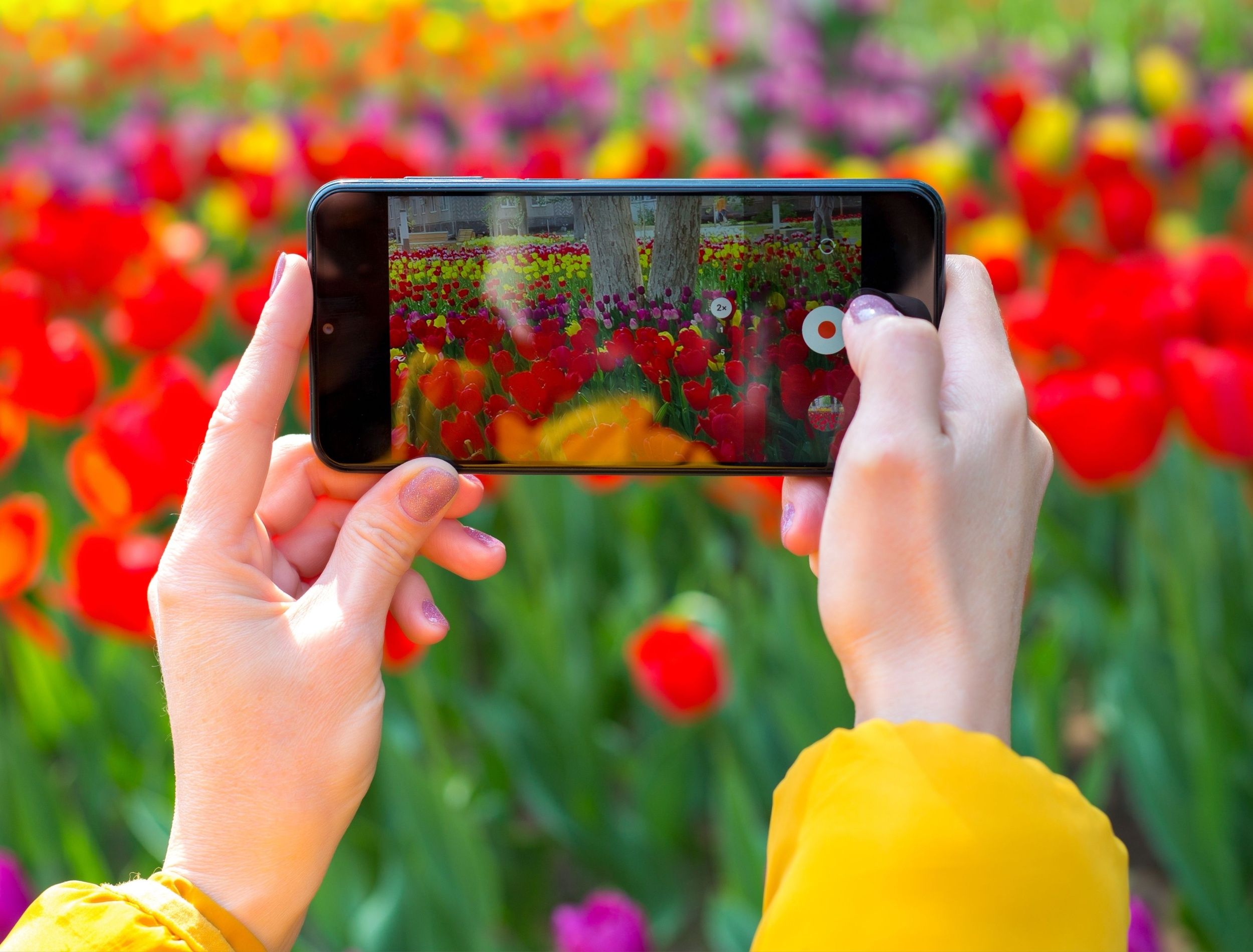 A Renters' Guide to Temporary Landscaping