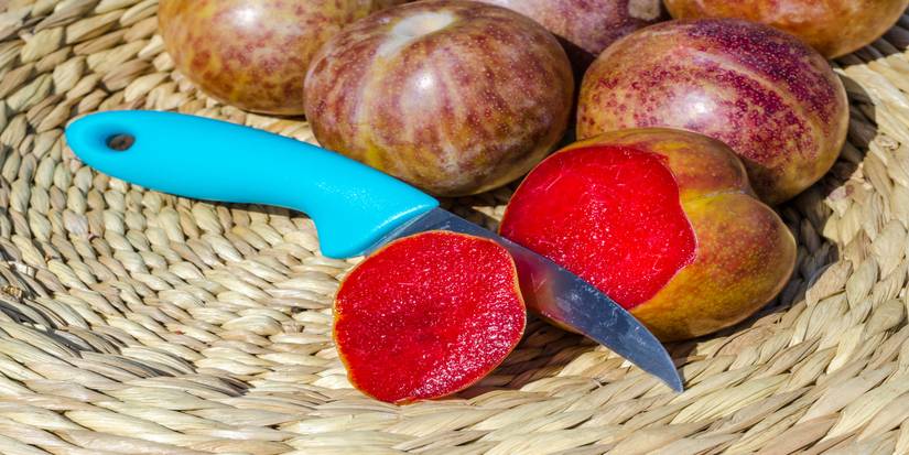 Meet the Pluot: The Juicy Hybrid That Redefines Sweetness