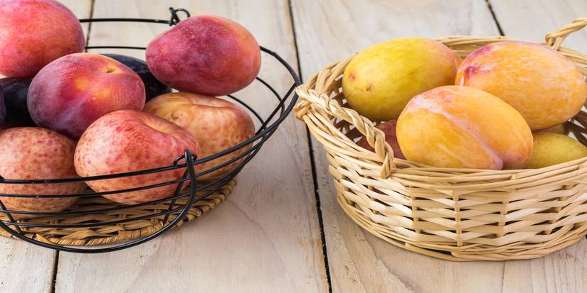 Meet the Pluot: The Juicy Hybrid That Redefines Sweetness