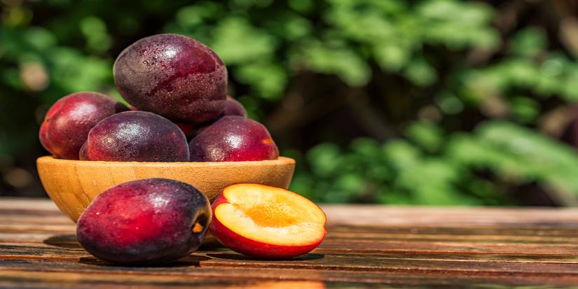 Meet the Pluot: The Juicy Hybrid That Redefines Sweetness