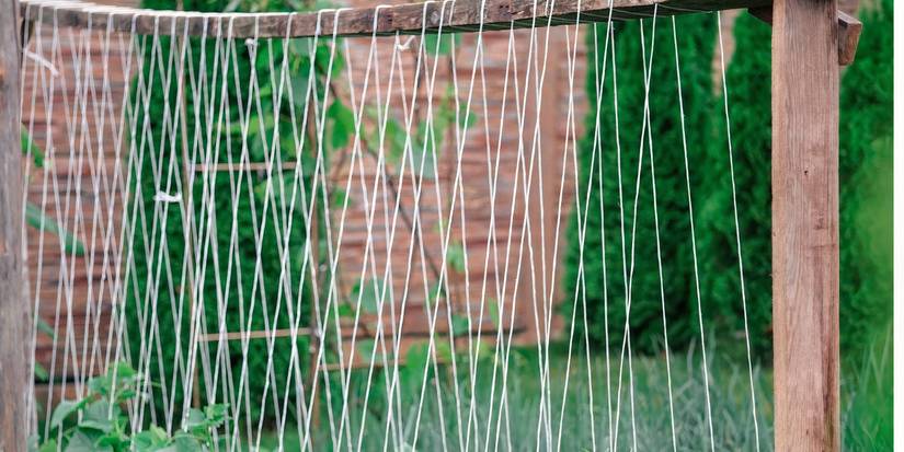 6 Creative Ways to Incorporate Rope in Your Backyard Design