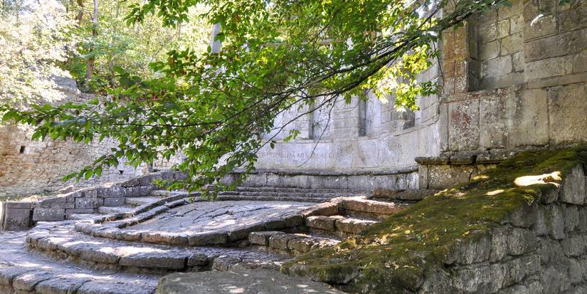 Legendary Trees: Symbols of Life, Wisdom, and Endurance Across Cultures