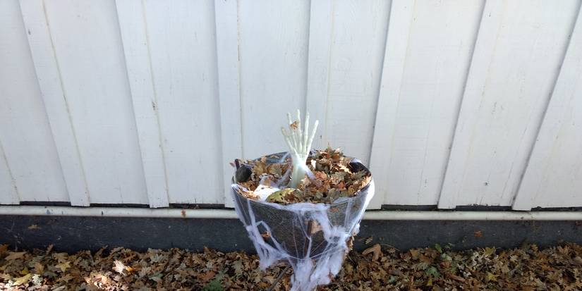 Put Your Plants to Work: Turn Them Into Halloween Decorations!