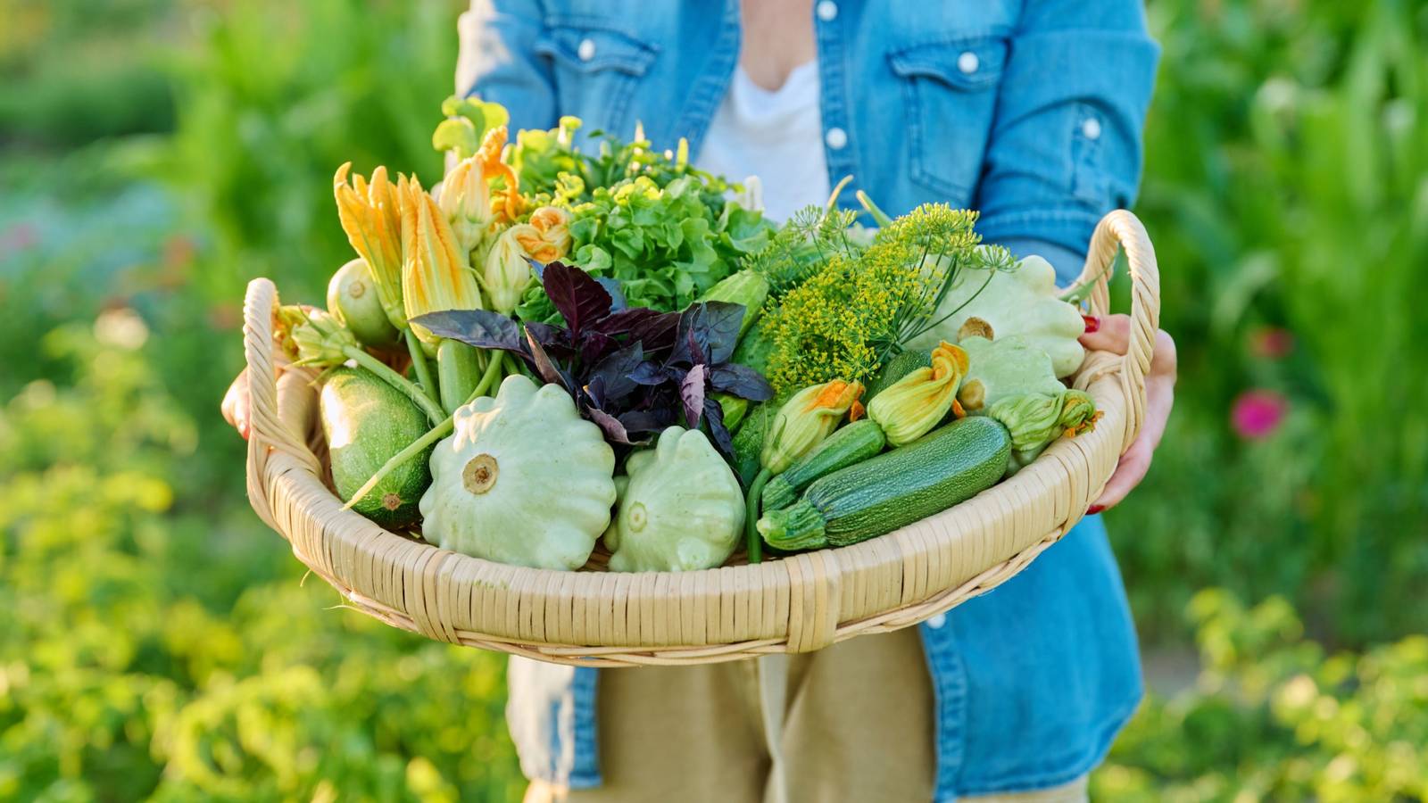 Lazy Day Breakfast Made Easy With Fresh Fruits and Veggies