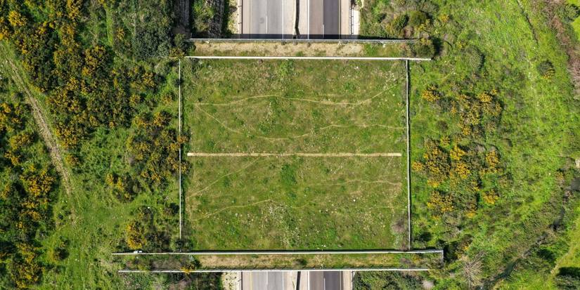 World’s Largest Wildlife Crossing Blooms Over California’s 101 Freeway