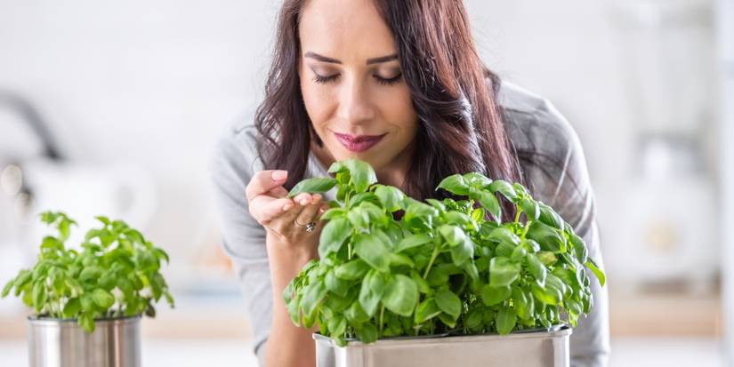 Fresh Herbs and Veggies That Power Bold Asian Cooking Flavors
