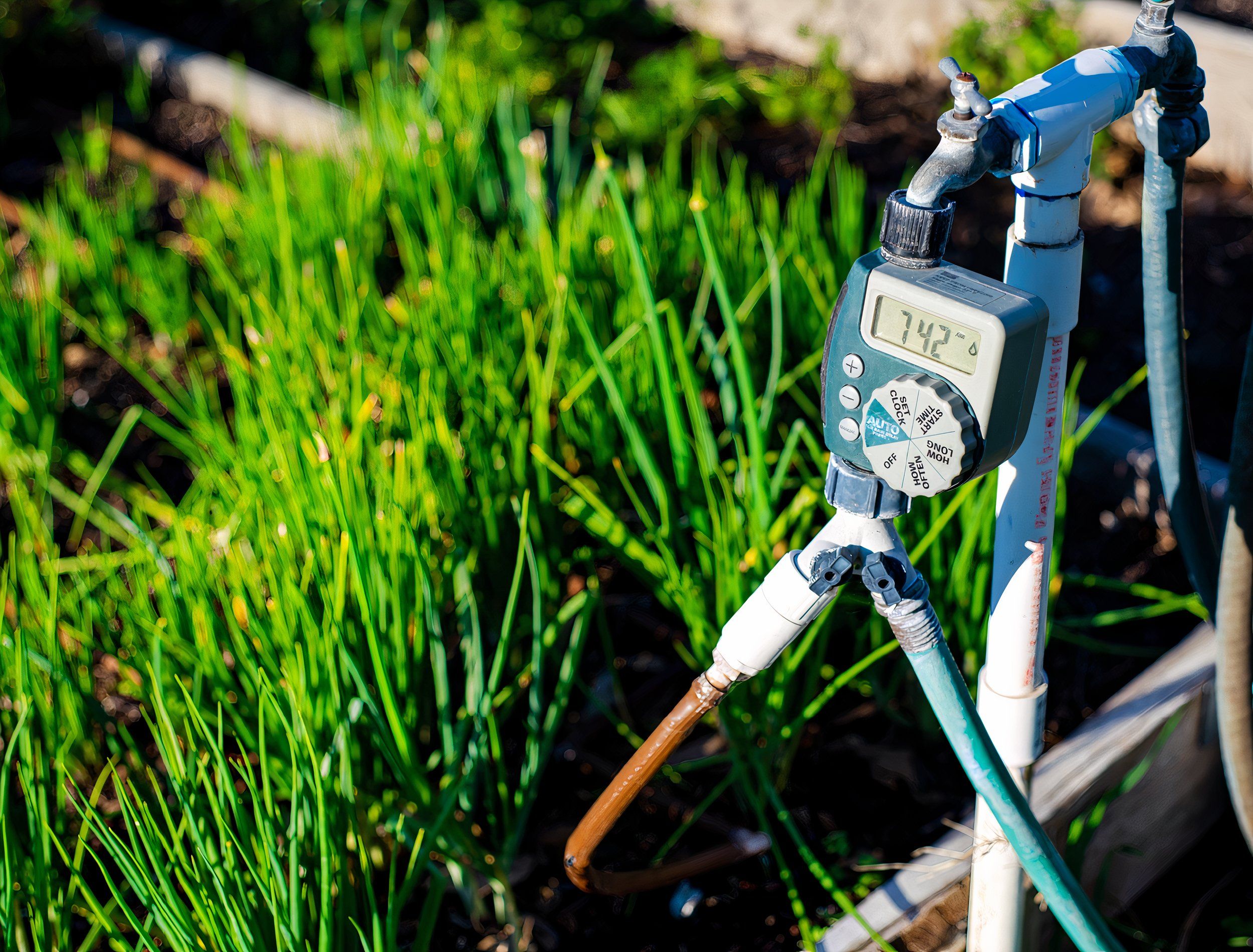 8 Types of Snakes You Can Find in Your Yard