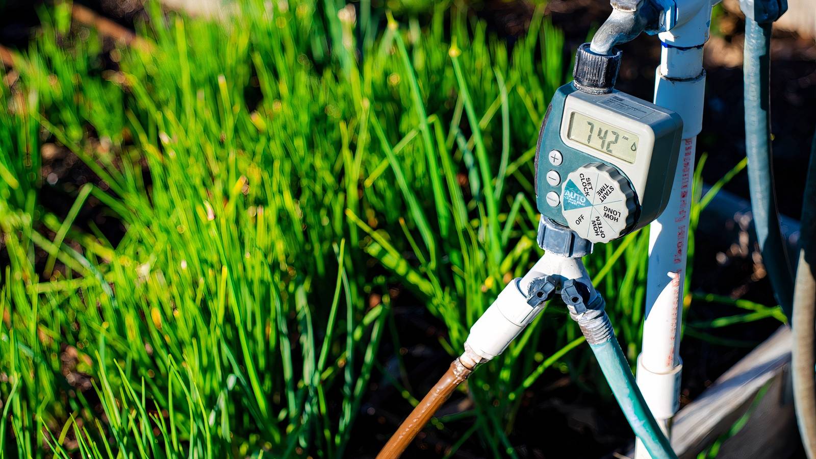Design a Low-Maintenance Self-Watering Garden: Tips and Systems