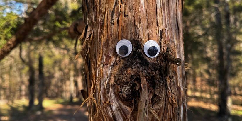 Give Your Garden Personality With Googly Eyes