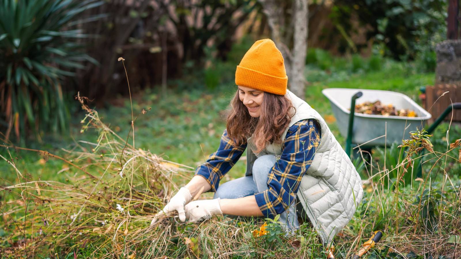 Natural Pest Control Secrets: Top Tricks to Repel Garden Invaders