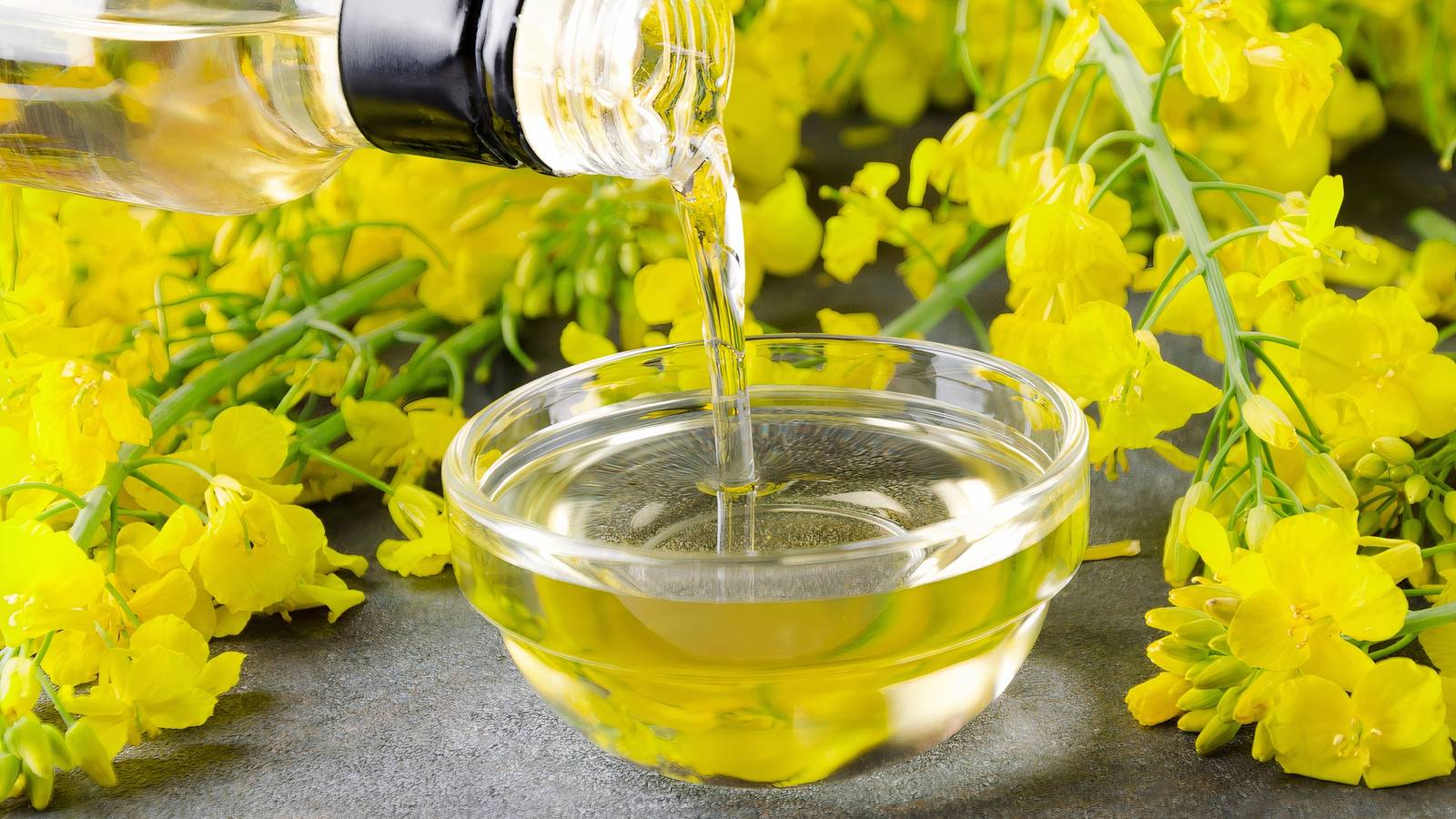 Low Calorie Vegetable Oils: Avocado, Canola, Grapeseed & More
