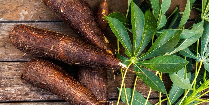 Edible Plants with Toxic Parts: A Gardener's Guide to Safety