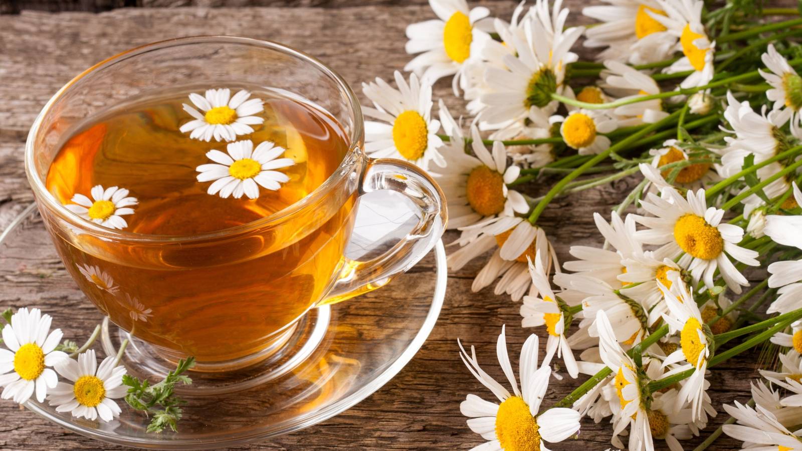 Calming Plants That Naturally Support Better Sleep