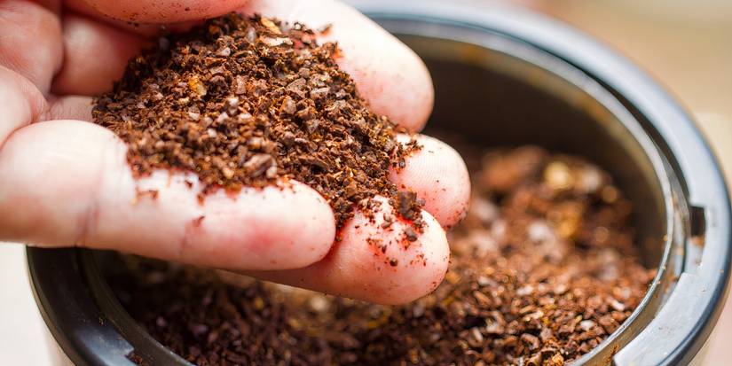 5 Best Green Compost Materials for Your Pile