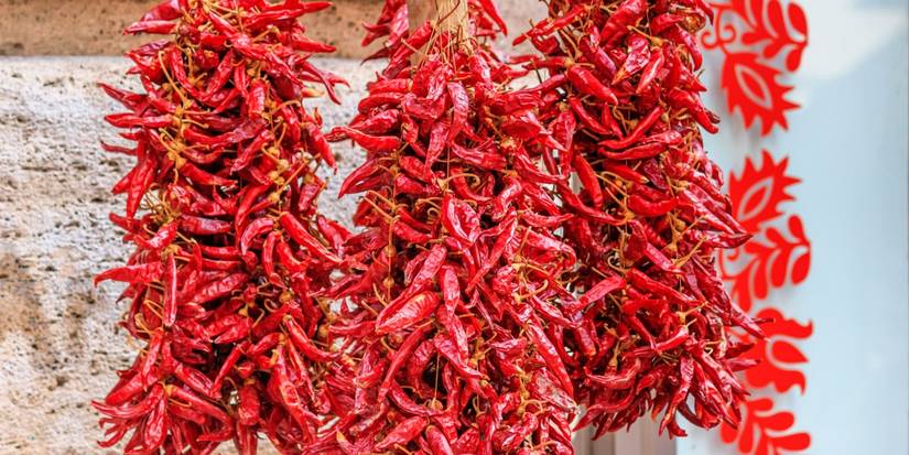 Make Your Season Glow With Bold Southwest Christmas Decorations