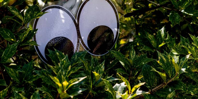 Give Your Garden Personality With Googly Eyes