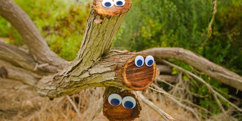 Give Your Garden Personality With Googly Eyes