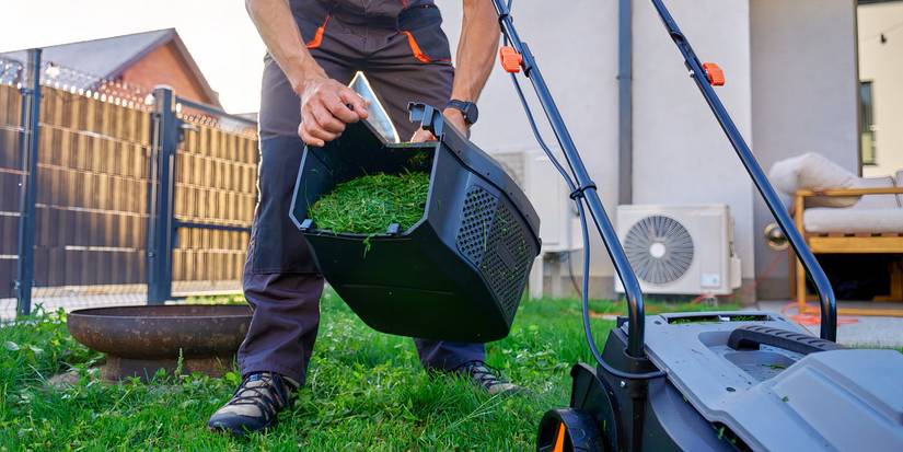 5 Best Green Compost Materials for Your Pile