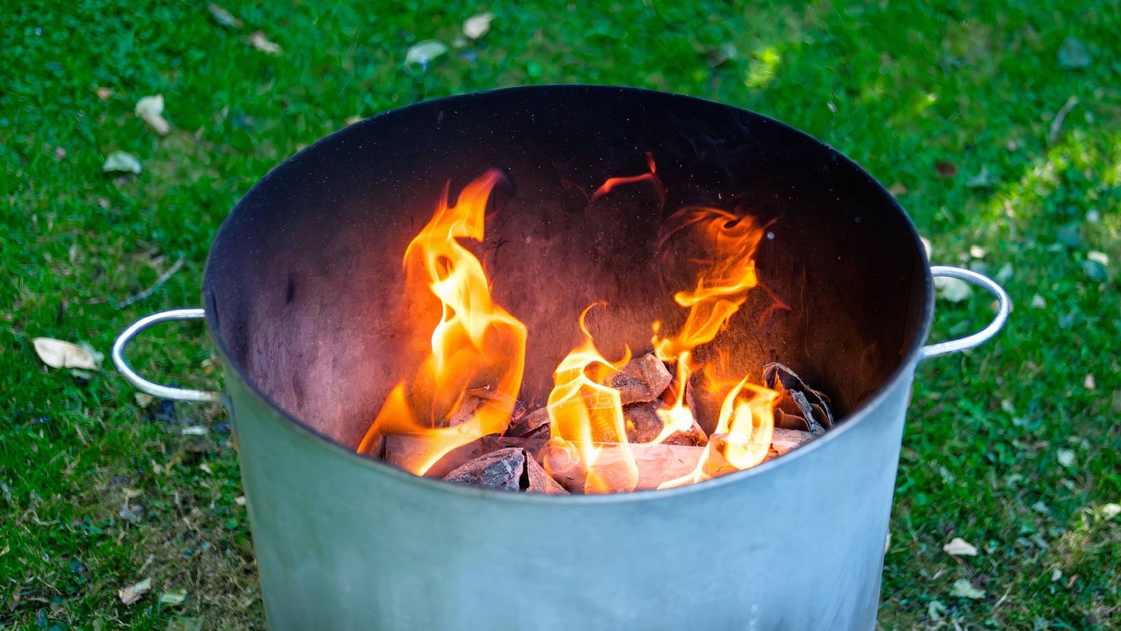 6 Proper Ways to Dispose of Dead Garden Pests Safely and Hygienically