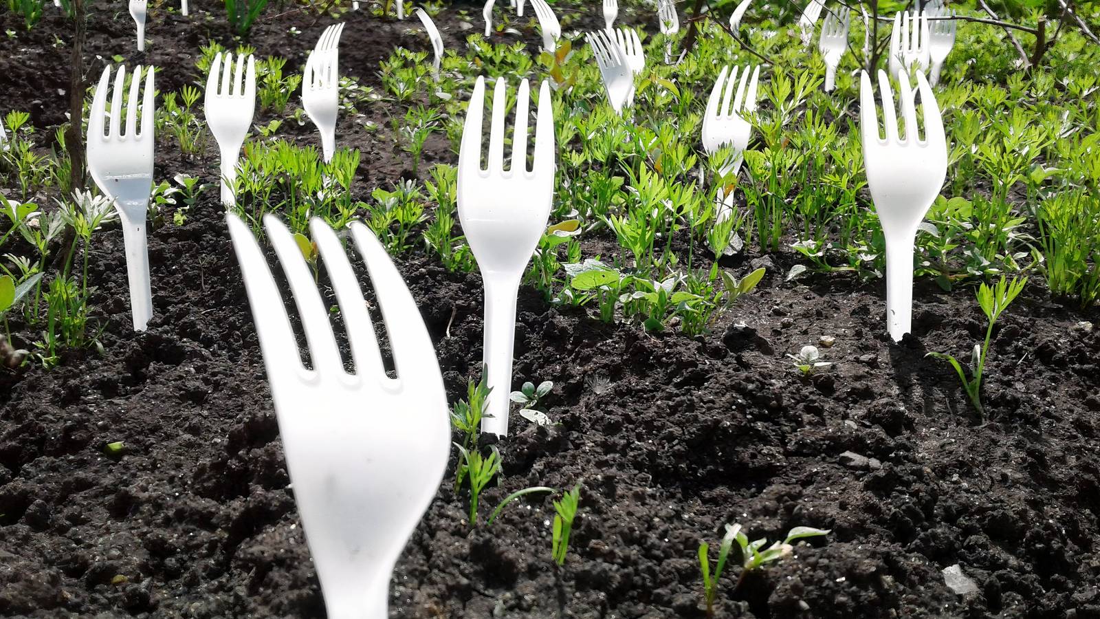Plastic Fork Hack for Gardens: Pros, Cons & How to Use