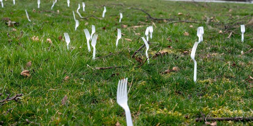 Plastic Fork Hack for Gardens: Pros, Cons & How to Use