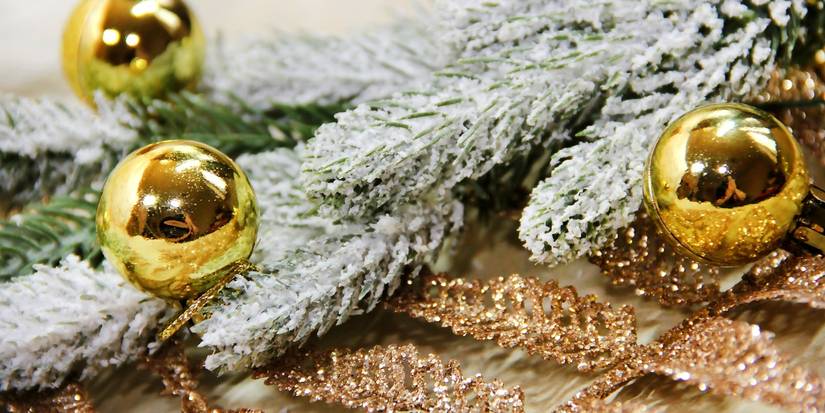 Turn Your Christmas Village Into a Winter World With Miniature Plants