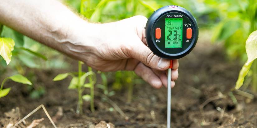 The Right Way to Water Plants Using a Moisture Meter