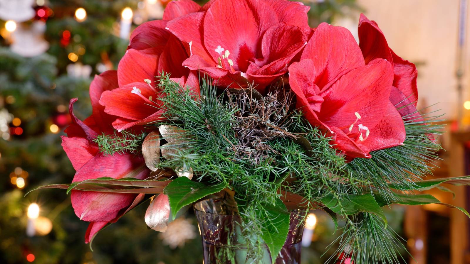 Why Deep Red Flowers Define Elegant Christmas Decorations